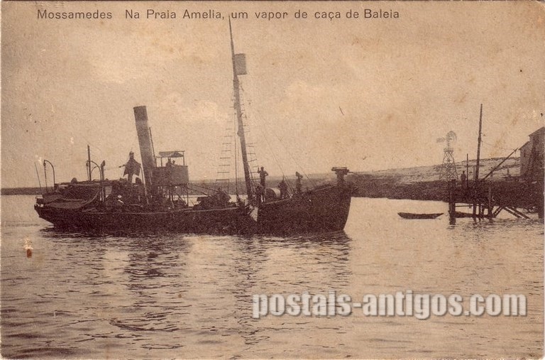 Na praia Amelia, um vapor de caça de baleia - Moçâmedes - Angola.