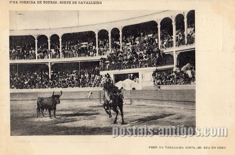 Tourada á Portuguesa - Grupo de Forcados - Lisboa